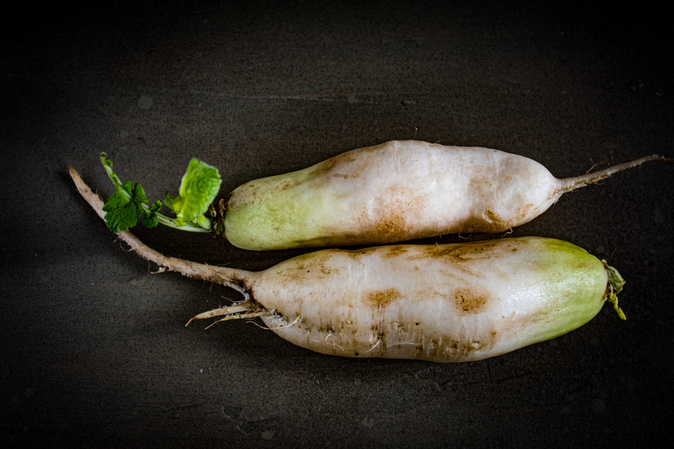 White Daikon Radish Quick Pickle Infused with Basil and Lime - The ...