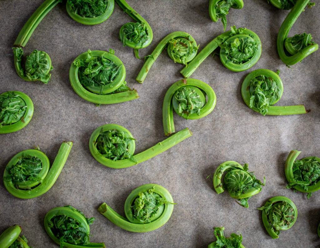 How to Cook Crispy Fiddlehead Ferns Appetizer with Zesty Lemon - The ...