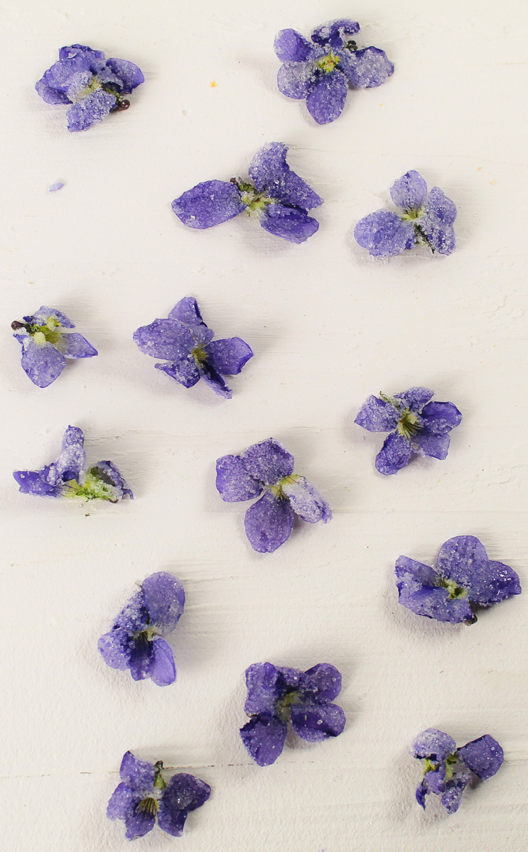 5 Simple Uses For Wild Violet Flowers In Kitchen Recipes - The Sifted Field