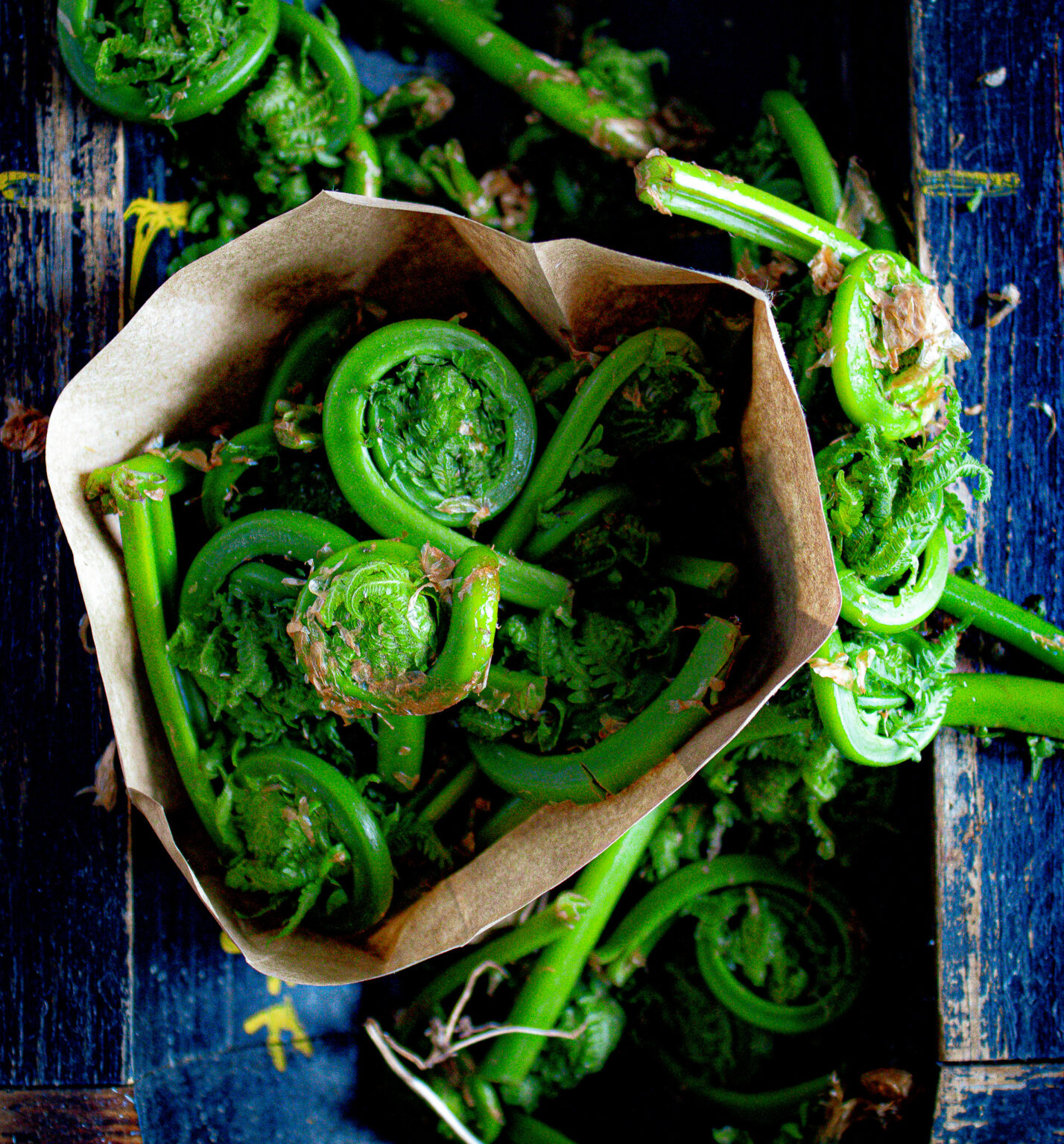 How to Cook Crispy Fiddlehead Ferns Appetizer with Zesty Lemon - The ...