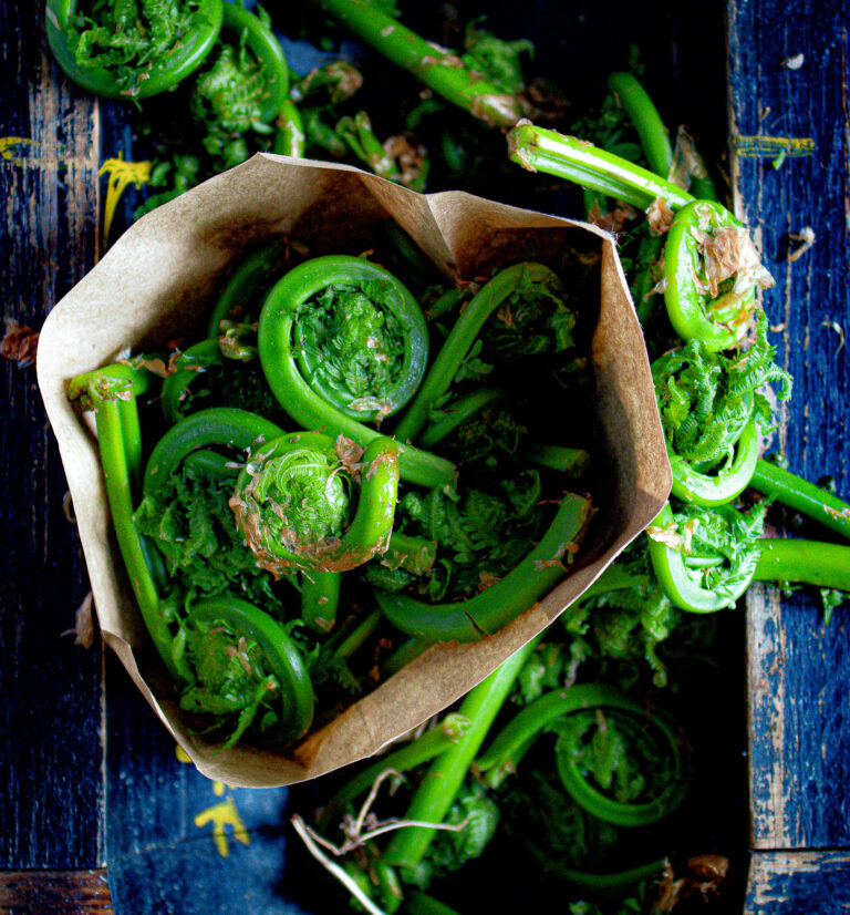 How to Cook Crispy Fiddlehead Ferns Appetizer with Zesty Lemon - The ...