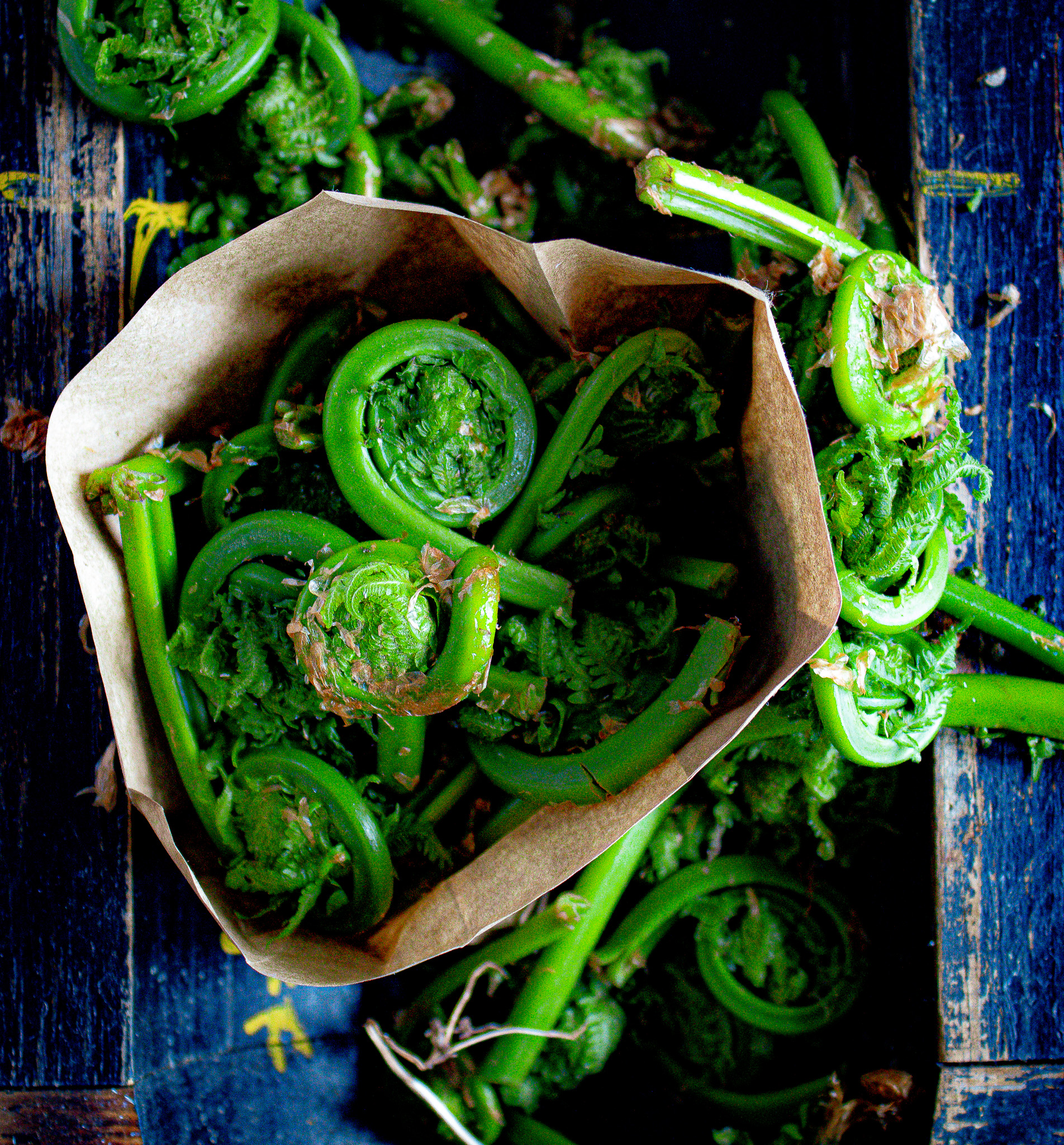 How to Cook Crispy Fiddlehead Ferns Appetizer with Zesty Lemon - The ...
